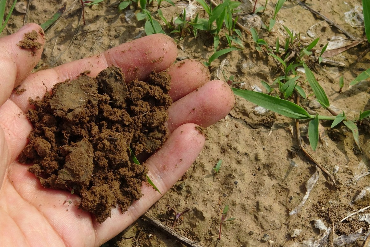 Human Composting: What is a Jewish View of Natural Organic Reduction ...